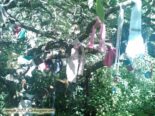 Wishing trees – The Naiads Well
