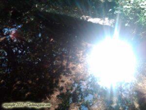 Wishing trees – The Naiads Well