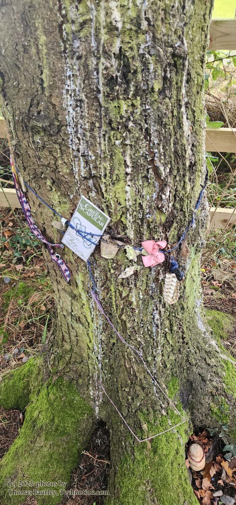 Wishing trees – The Naiads Well